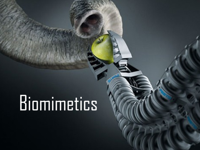 Find a Student Organization : Student Activities